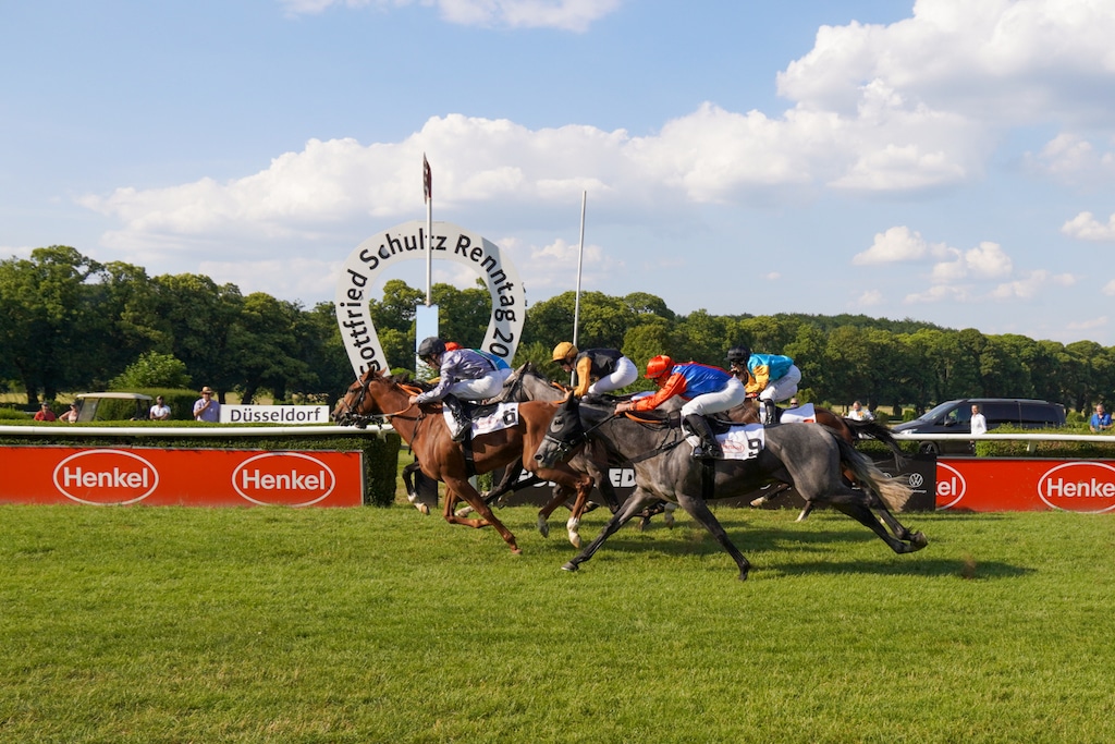 Großer Preis von Gottfried Schultz - Lokalbüro Düsseldorf